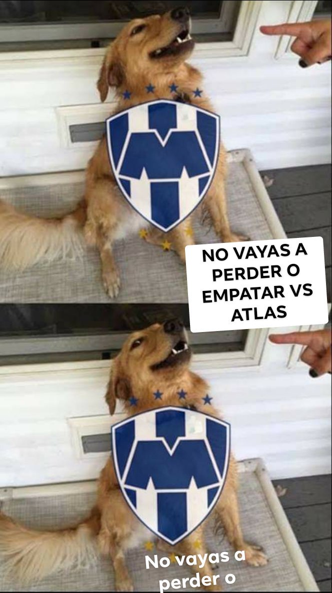 El aficionado rayado optimista ve esto...